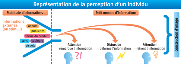 La notion de perception